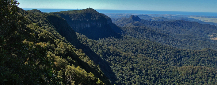 Springbrook Rescue - Australian Rainforest Conservation Society ...