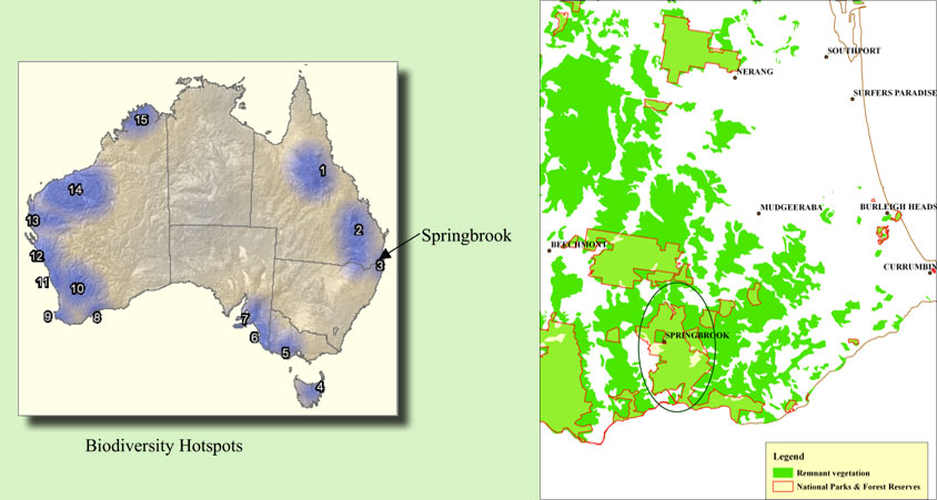 Springbrook - World Heritage rainforests in the Gold Coast Hinterland